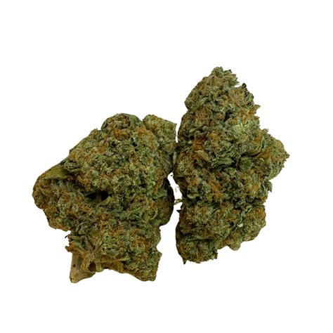 Permanent Marker High Maintenance NJ