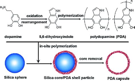 Assembly Of A Polydopamine Pda Film Onto A Particle And Subsequent