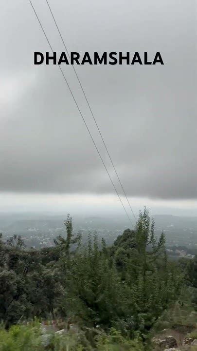 Kharota Dharamshala Youtube
