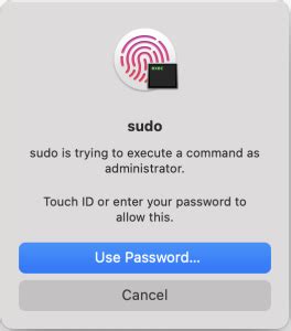 Terminal Secure Keyboard Entry And Sudo With Touch ID On MacOS Alan Siu S Blog