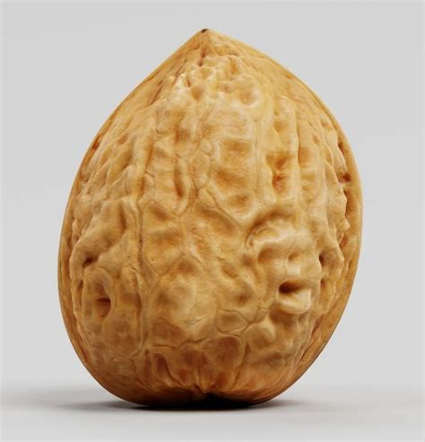 Organic Walnut Shell At ₹ 450 Kg Organic Walnuts In Patna Id