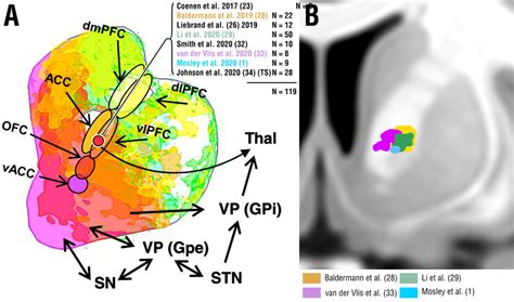 Synopsis Of Anatomical Organization Of The Alic With Tractography Download Scientific Diagram