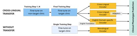 Projekt Cross Lingual Knowledge Transfer For Clinical Phenotyping