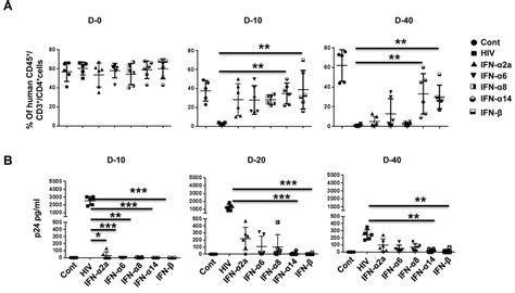 Ifn α14 And Ifn β Confer Prolonged Protection Against Hiv 1 In Hu Pbl