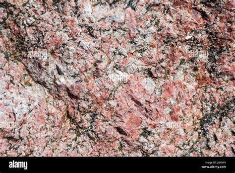 Pegmatite Holocrystalline Intrusive Igneous Rock Showing Grain