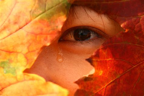 There Is Healing In The Weeping Huffpost Uk Life