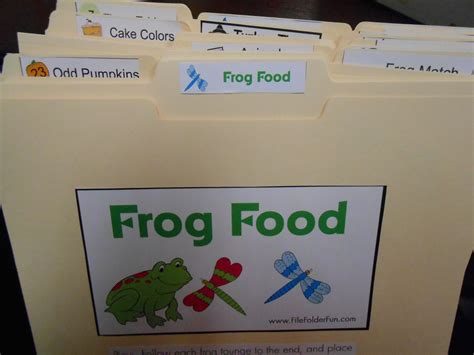 flamingos and fun file folder games