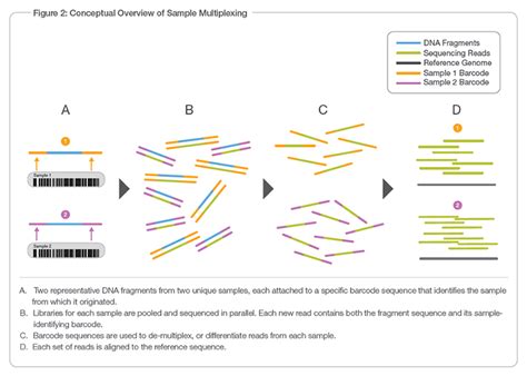 Multiplex Sequencing