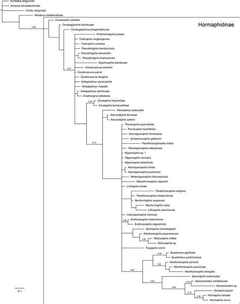fig a10 bayesian tree resulting from the bayesian analysis of