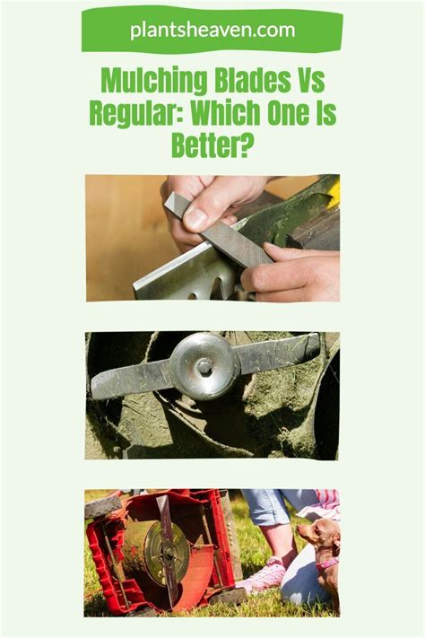 Mulching blades vs regular which one is better – Artofit