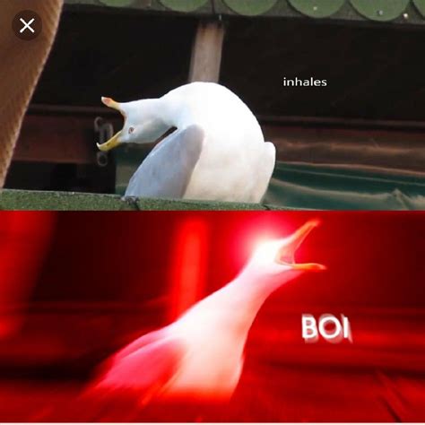 Pin By Sam Foppe On Ladynoir Miraculous Ladybug Memes Miraculous
