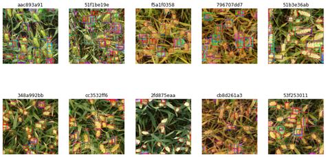 Weighted Boxes Fusion Detection Seung Hyun S Blog