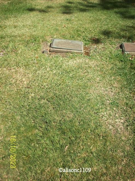 Wallace Edwin Warren Unknown 1969 Find A Grave Memorial