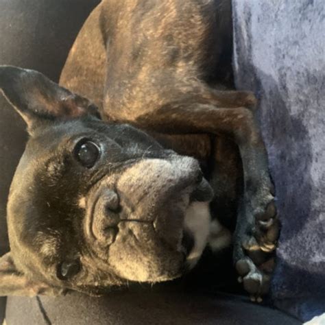 Sofia Olivera University Of Illinois Urbana Champaign Il Uiuc Department Of Psychology