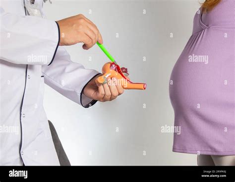 A Gynecologist Doctor Explains To A Pregnant Girl The Process Of Egg