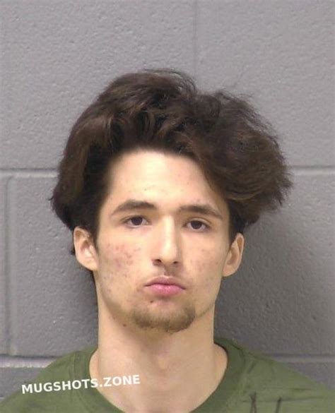 Dube Ryan 03 05 2026 Will County Mugshots Zone
