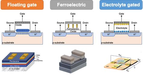 Schematic Diagram For The Three Typical Prototypes For The Synaptic