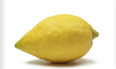 Esrog Shopper The Voice Of Lakewood