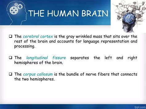 Language And Humans Brain Pptx