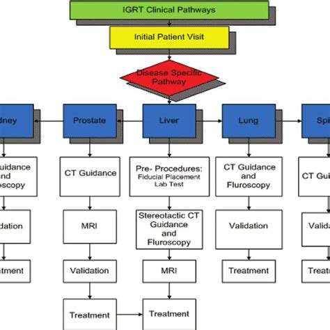 4 Example Of Clinical Process Flow Download Scientific Diagram