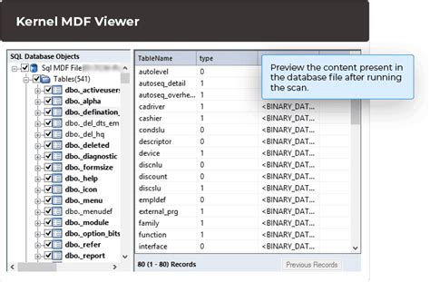 Free Mdf Viewer Tool View And Read Sql Mdf Files Easily