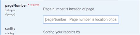 Default Zero Not Allowed In Parameters Issue Swagger Api Swagger Ui GitHub
