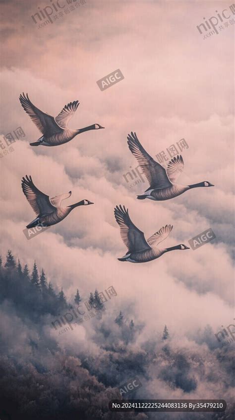 Ai创作图梦幻天鹅 意境山水冬日天鹅 天鹅腾飞 意境天鹅 晚霞与天鹅 梦幻天鹅湖 晚霞下的天鹅 晨雾中的天鹅 闲云野鹤云雾缭绕 意境丹顶鹤 唯美天鹅湖 大雁盛世 鹤舞仙境 暮色天鹅 鹤舞云间