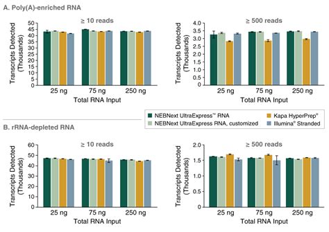 Nebnext Ultraexpress® Rna Library Prep Kit Neb
