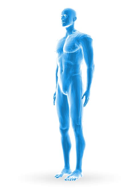 Biocompatible Material Testing Aria Dental