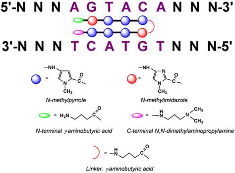 Molecules Special Issue Synthesis Of Nucleosides Nucleotides And