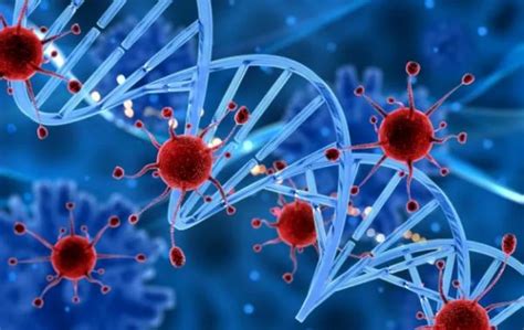 سرطان چیست؟ علائم، پیشگیری و درمان راهنمای جامع