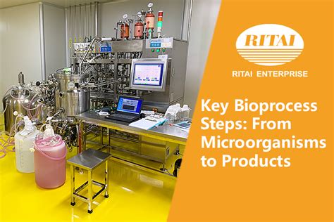 Key Bioprocess Steps From Microorganisms To Products Ritai Bioreactor