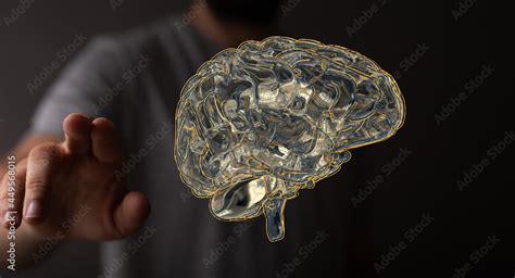 Human Brain Activity With Plexus Lines External Cerebral Connections