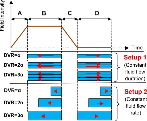 Configuration Of Setup 1 And Setup 2 For One Cycle Of The Experiment Download Scientific Diagram