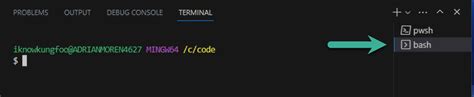 Git Bash Is Working In Windows Terminal But Not In Visual Studio Code Stack Overflow