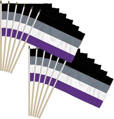 Rainbow Asexual Pride Handheld 12x18 In Flag With Pole 12 Pack