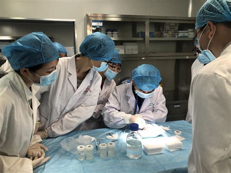 【干货】肿瘤干细胞成球实验 知乎