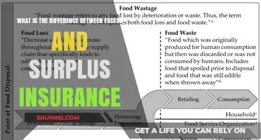 Hsa Vs Ppo Insurance Understanding The Key Differences ShunIns