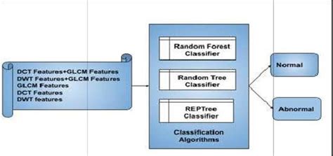 B Classification System Download Scientific Diagram