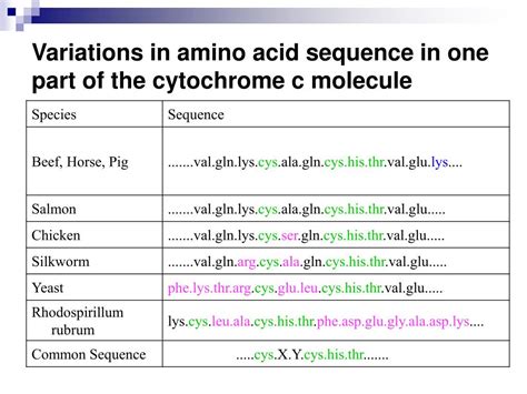 Ppt Protein Fingerprinting And Evolution Powerpoint Presentation Free Download Id6460970