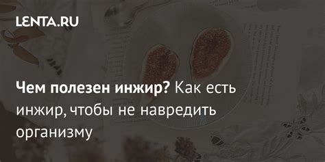 Польза и вред инжира полезные свойства сушеного и свежего фрукта Питание и сон Забота о себе