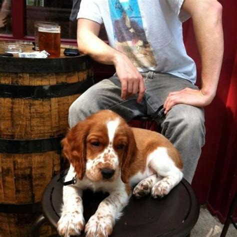 Kenneth Merrill Medium