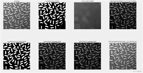 灰度级形态学处理非平坦结构元 Csdn博客