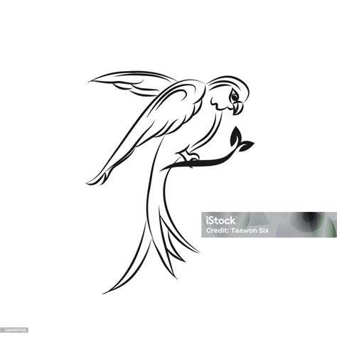 벡터 라인 새 로고 비둘기 실루엣 비행 추상 적 로고 아이콘 고립 0명에 대한 스톡 벡터 아트 및 기타 이미지 0명 개체 그룹 날씬한 Istock