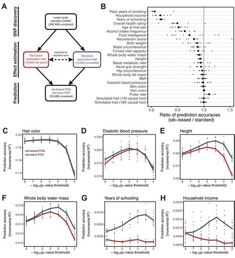 Comparison Of Prediction Accuracy Of Standard And Sib Based Polygenic