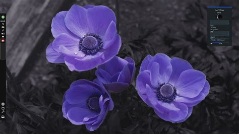 Gkrellm Upkeep Customization Zorin Forum