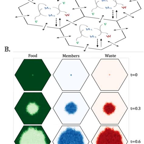 Growth And Diffusion In A 2d Setting A A Section Of A Hexagonal Download Scientific Diagram