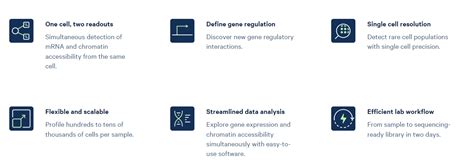 Single Cell Multiome Genesmart Co Ltd