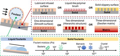 Material Design For Durable Lubricant Infused Surfaces That Can Reduce Liquid And Solid Fouling