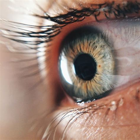 Macro Mode Photography Artofit